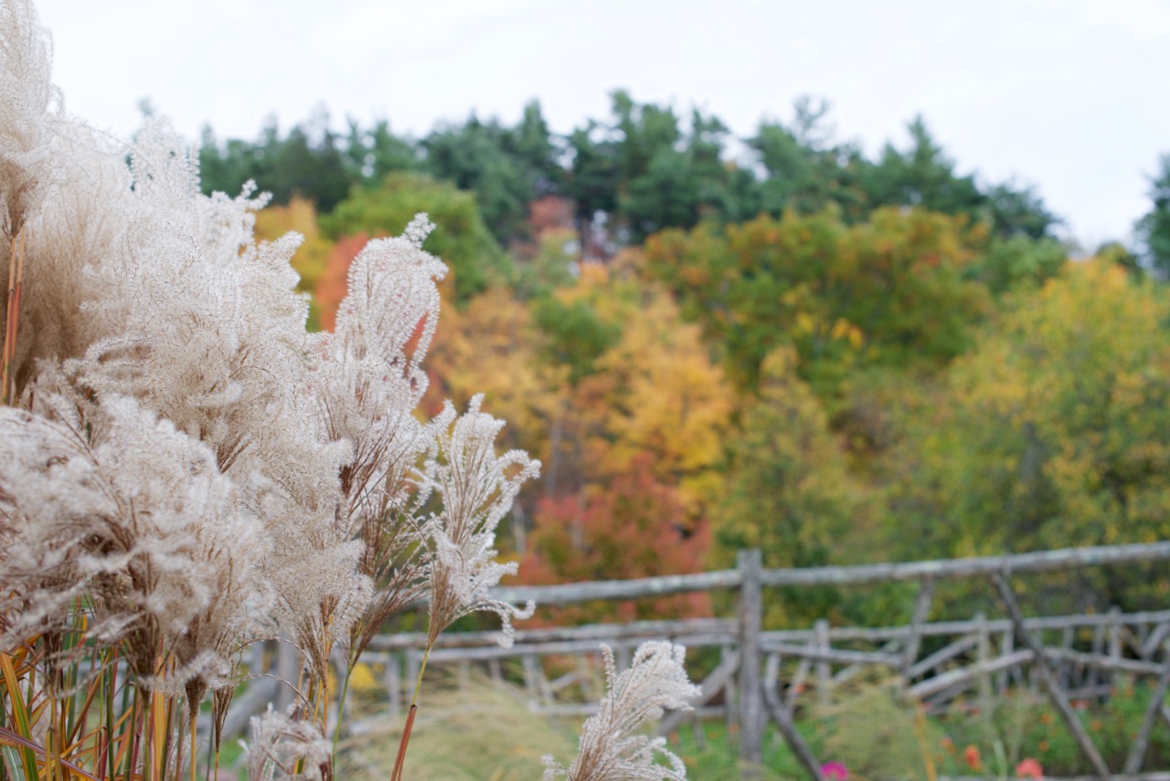 How to Live with Contradictions: Embrace October - kimberlyanncoyle.com